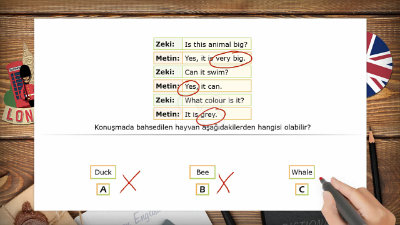 3. Sınıf - Asking About Animals / Hayvanlar Hakkında Soru Sorma ...