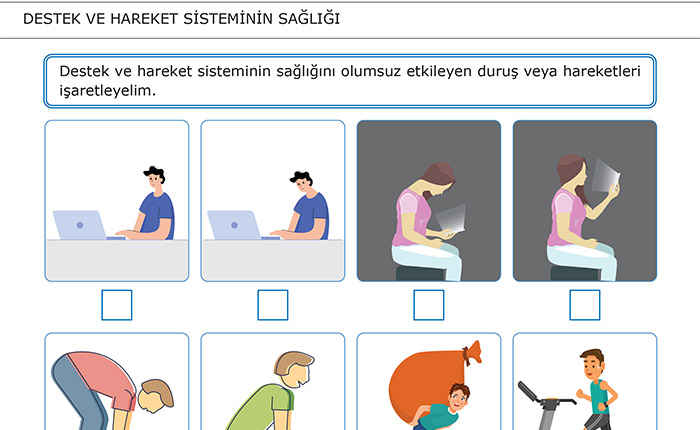 5. Sınıf - Destek ve Hareket Sisteminin Sağlığı - Fen Bilimleri - Ödevi ...
