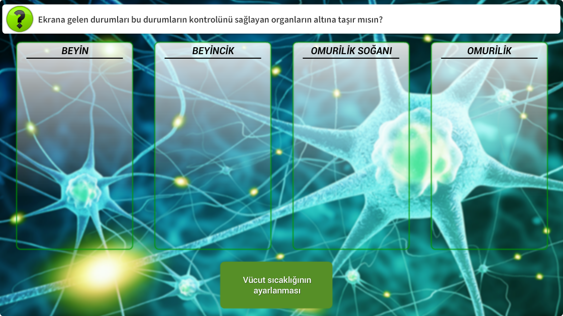 6. Sınıf - Sinir Sistemi - Fen Bilimleri - Çalışması | Morpa Kampüs