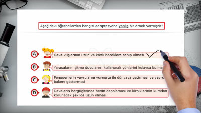 Adaptasyon - 8. Sınıf Fen Bilimleri | Morpa Kampüs